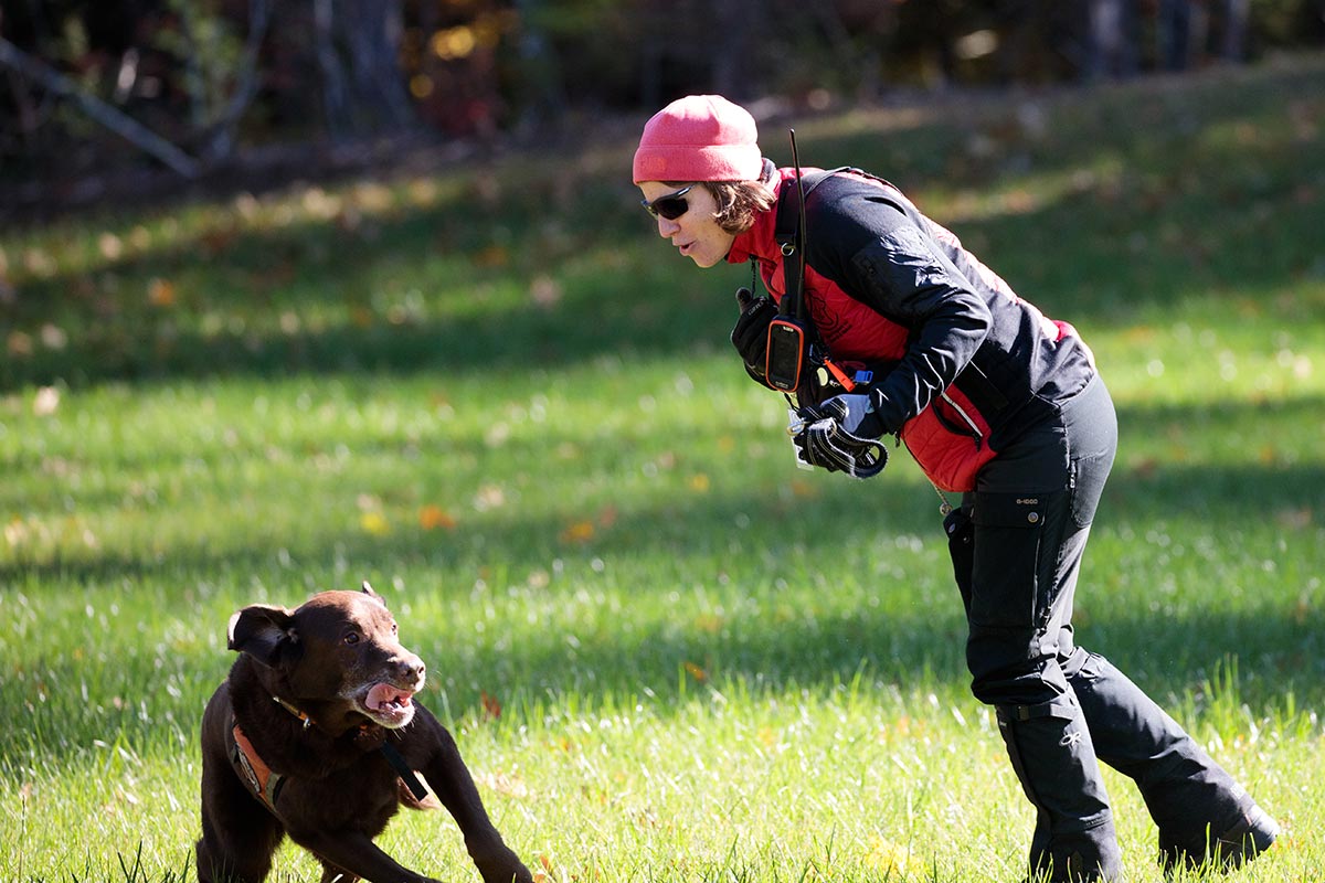 New England K-9 Search and Rescue | Articles
