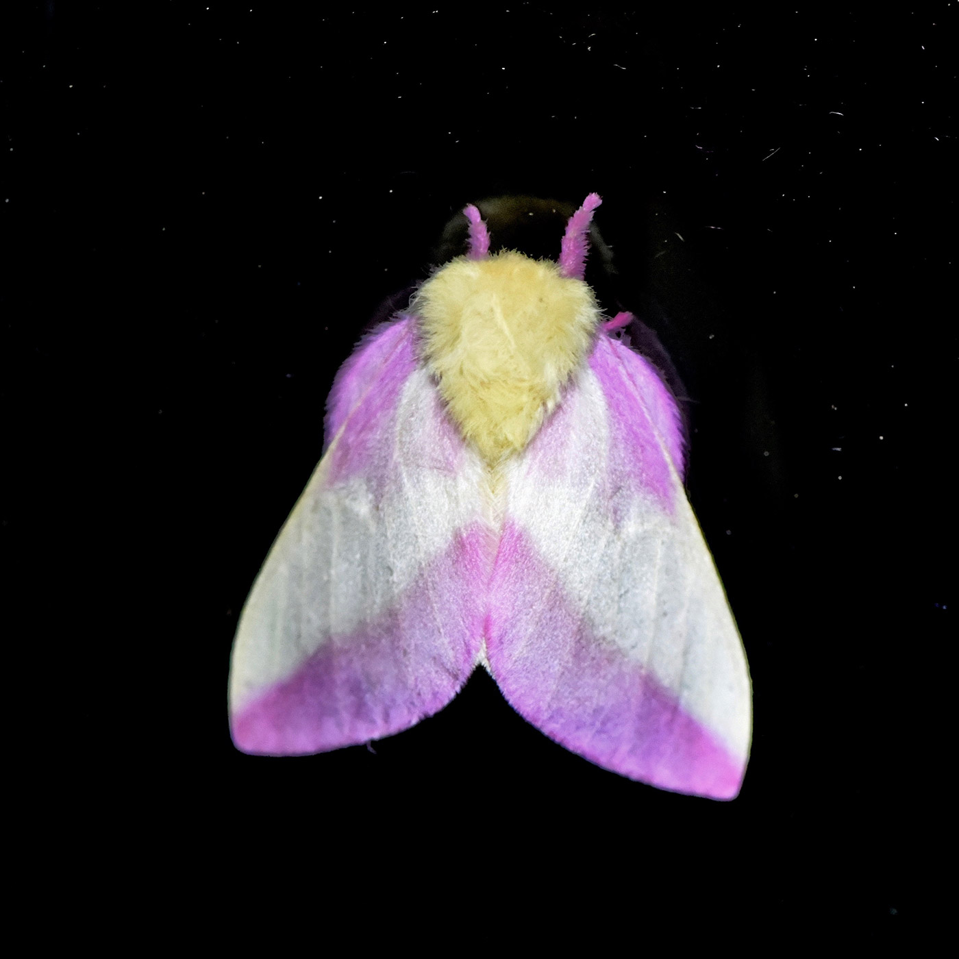 June 2019 | Reader Photo Gallery