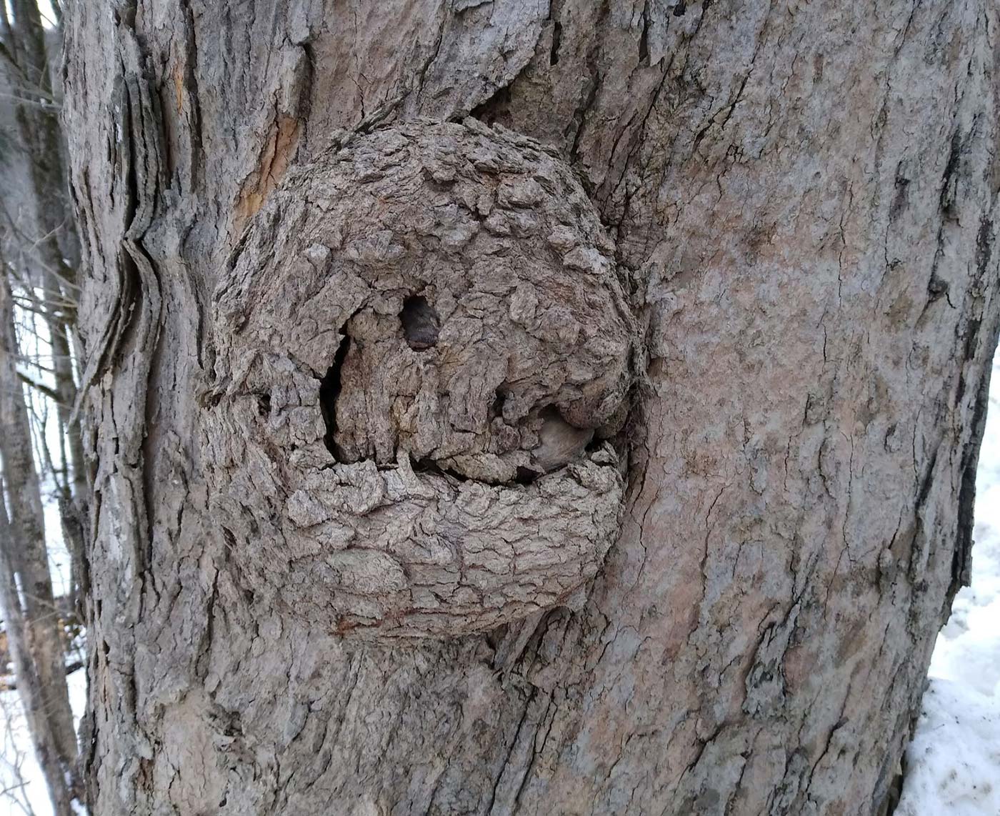 January 2021 | Reader Photo Gallery