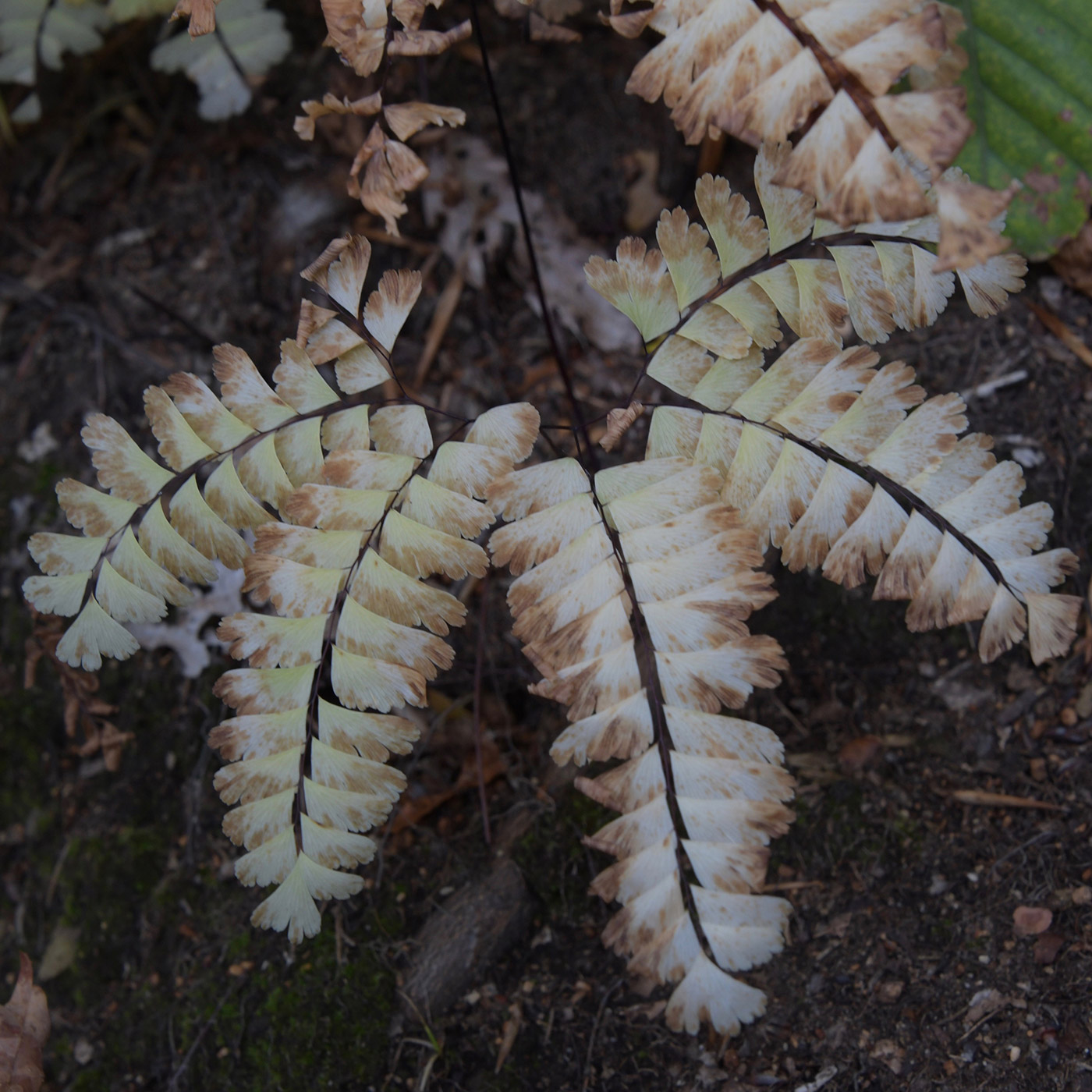 October 2019 | Reader Photo Gallery