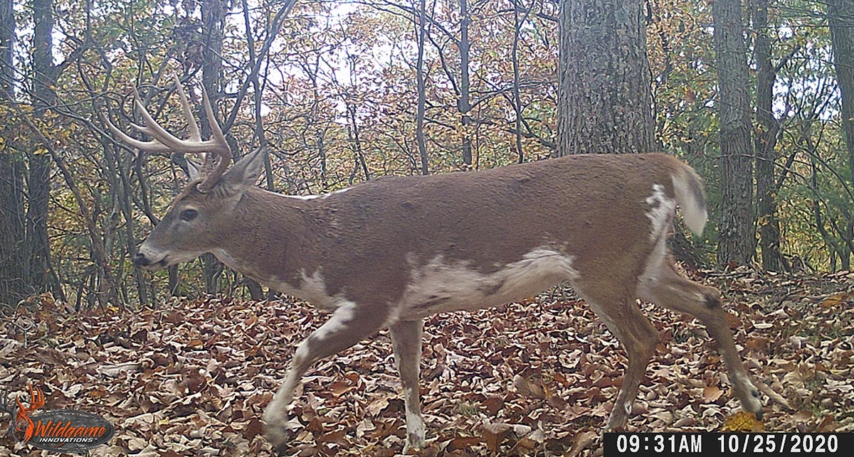 October 2020 - Part One | Reader Photo Gallery