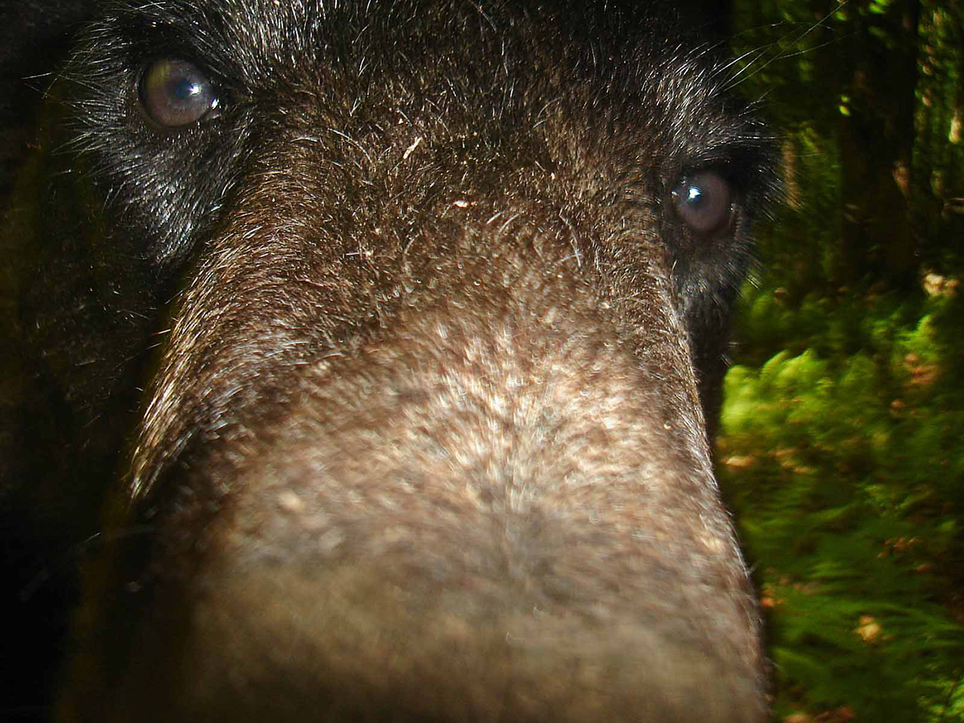 October 2019 | Reader Photo Gallery