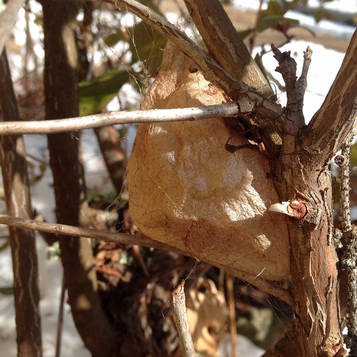 March 2020 | Reader Photo Gallery