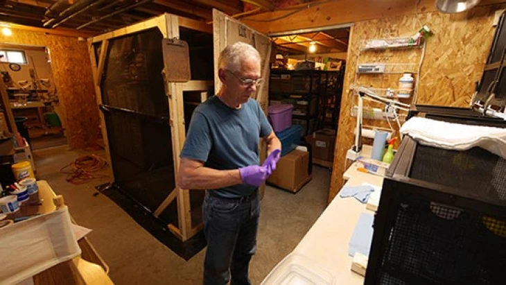 Bat Rehab | Summer 2016 | Articles | Features