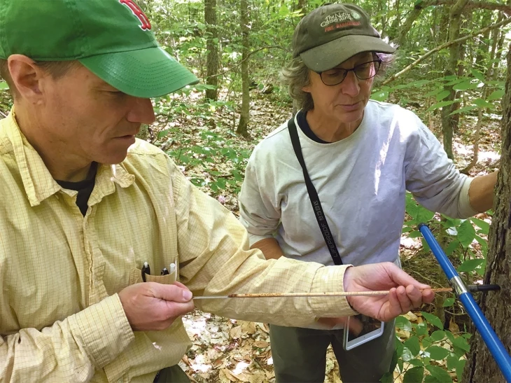 Big Reed Forest Reserve: A Place Out of Time | Autumn 2018 | Articles ...