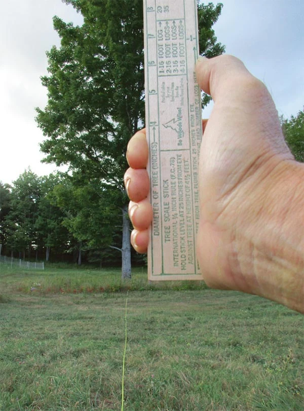 The Biltmore Stick | Spring 2017 | Knots and Bolts