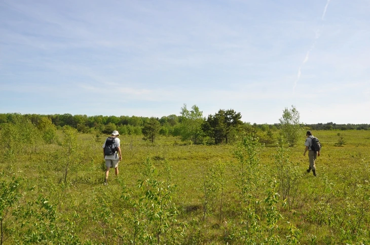 Black Racers: Living on the Edge | Summer 2019 | Articles | Features