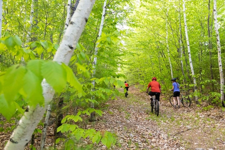 Characterizing Community Forests | Summer 2023 | Discoveries | Discoveries