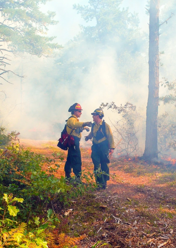 Land, Fire, and Legacy with Michael Crawford | Blog and News | Community Voices