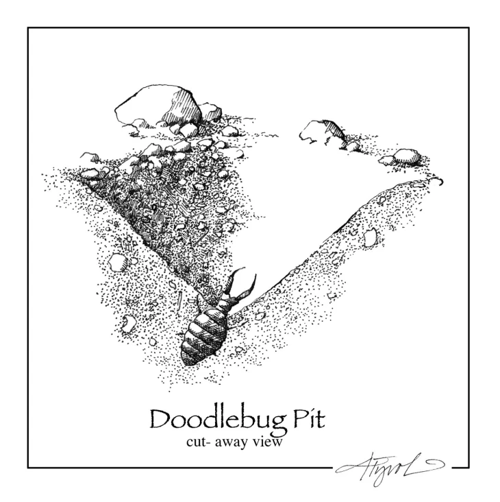 Doodlebug, Doodlebug, Are You at Home? | The Outside Story