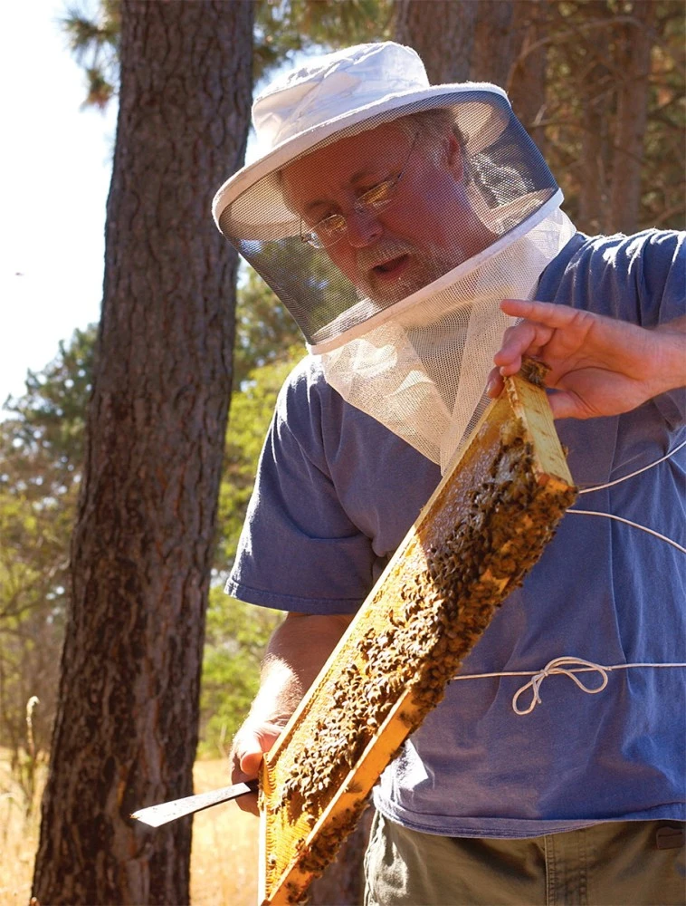 Buzzing About Mushroom Medicine | Summer 2019 | Discoveries