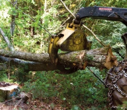 Three Logging Systems: Matching Equipment to… | Autumn 2011 | Articles ...