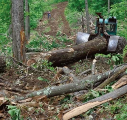 Three Logging Systems: Matching Equipment to… | Autumn 2011 | Articles ...