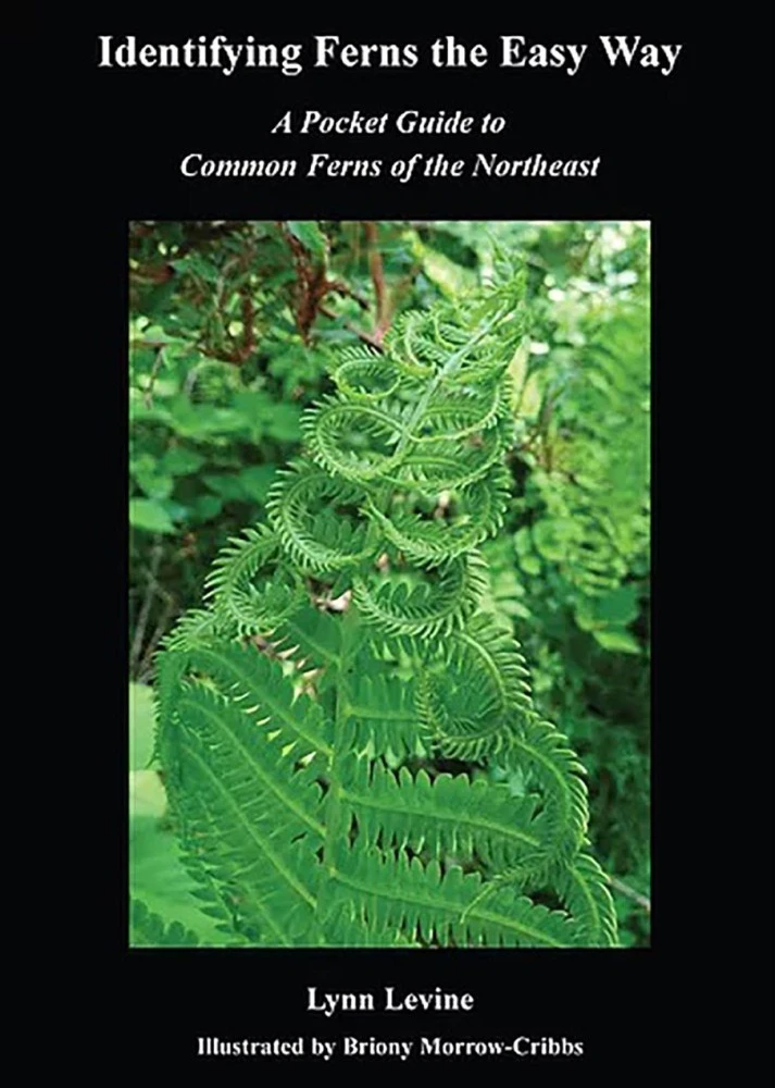 Identifying Ferns the Easy Way | Products | Books