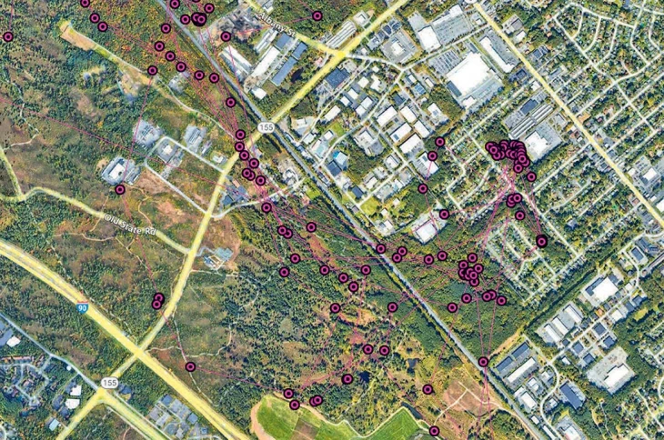 What’s Happening to the Fisher? An Elusive Carnivore Confronts New ...