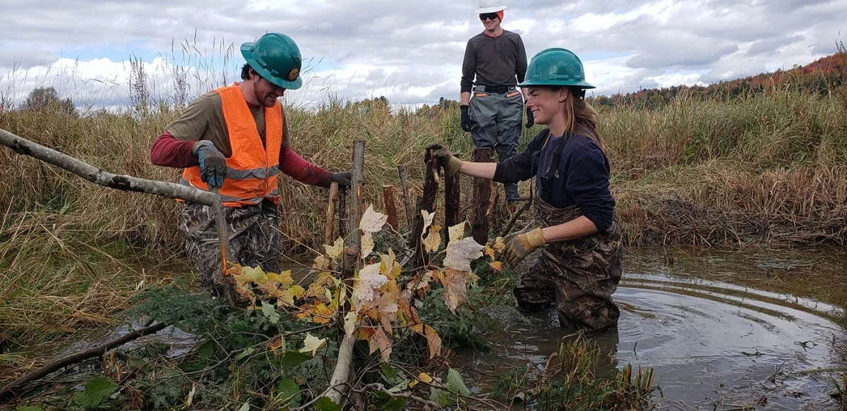 Building Beaver Dam Analogs to Restore Watersheds | Autumn 2023 ...