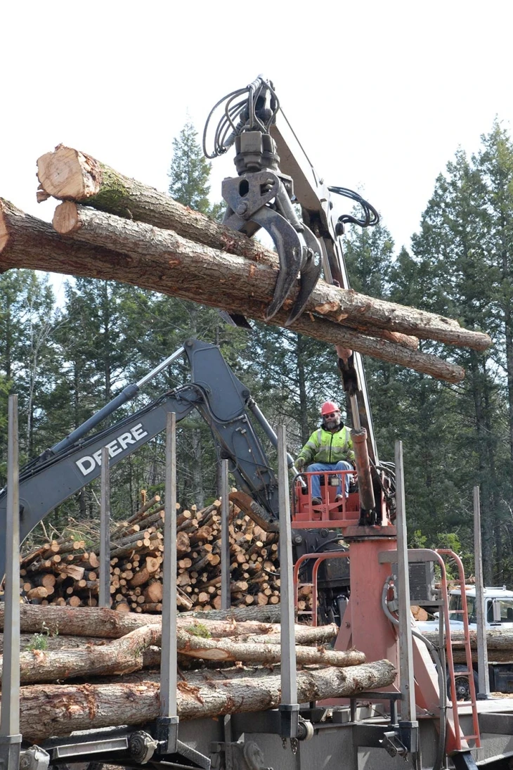 Logging Study Reflects Industry Challenges | Spring 2023 | Knots and ...