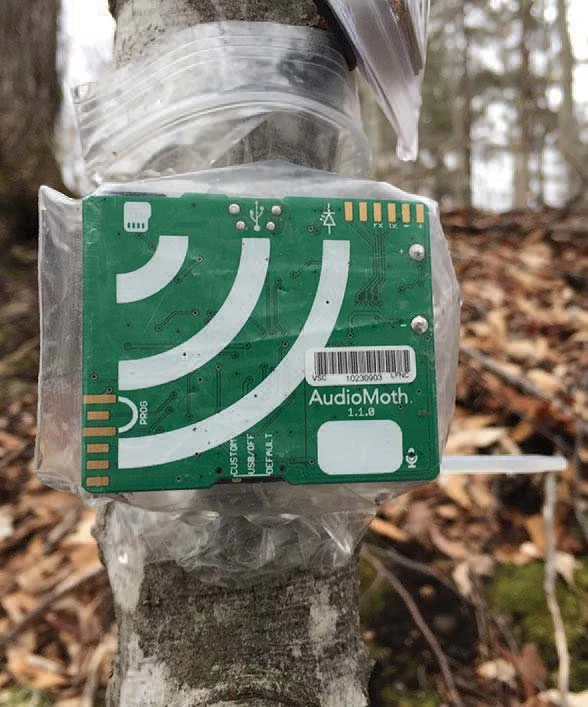 Monitoring an Island of Water in a Sea of Forest | Spring 2021 ...