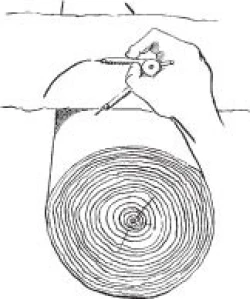 Scribing a Saddle Notch | Winter 2012 | Articles | Tricks of the Trade