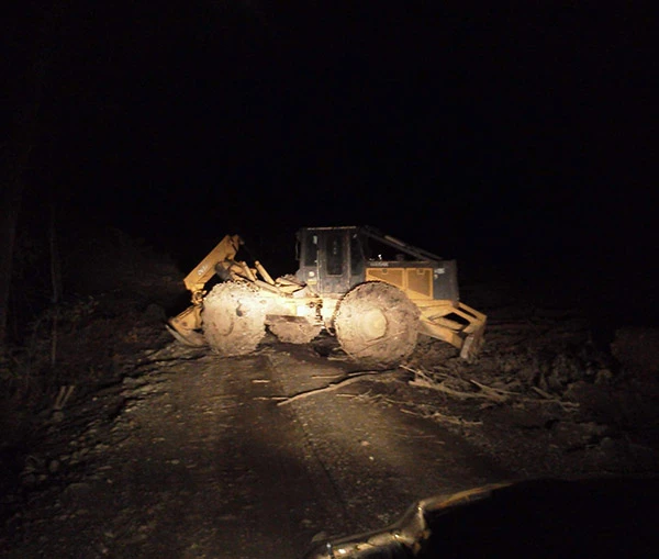 Cutting Down on Crime: The Battle Against… | Autumn 2014 | Articles ...