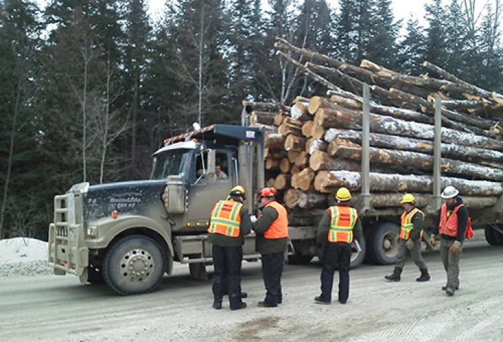 Cutting Down on Crime: The Battle Against… | Autumn 2014 | Articles ...