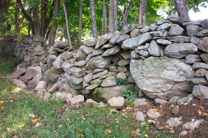 Exploring New England’s Stone Walls with… | Blog and News | Community ...