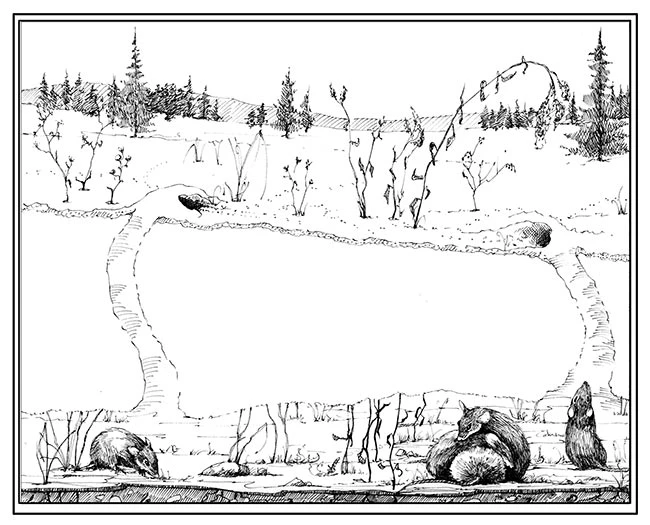 The Subnivean Zone: Shelter in the Snow | The Outside Story