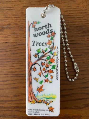 Tree Identification Field Guide | Products | Mini Field Guides