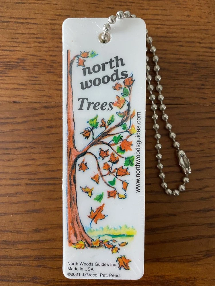 Tree Identification Field Guide | Products | Mini Field Guides