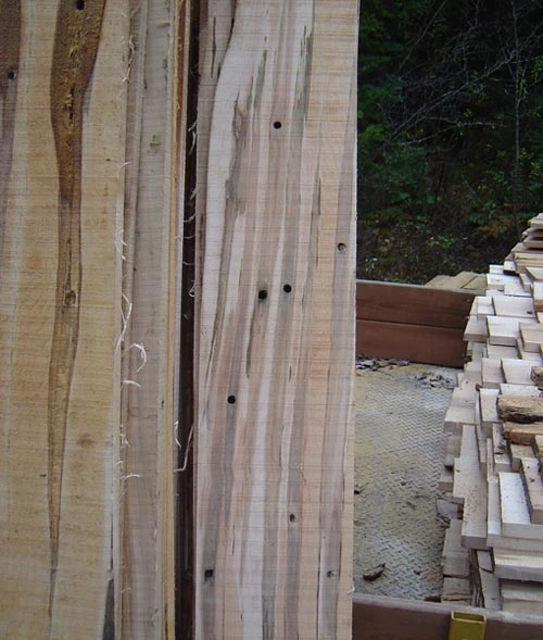 Tapping Trees | Winter 2009 | Articles | Tricks of the Trade