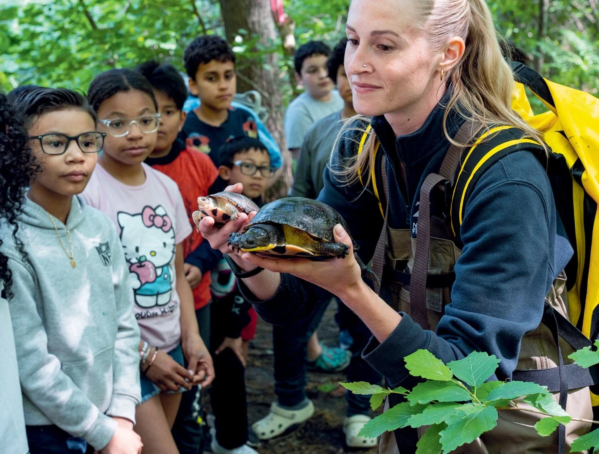 A Lesson in Turtles | Spring 2025 | Articles | Features
