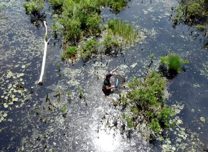 A Lesson in Turtles | Spring 2025 | Articles | Features