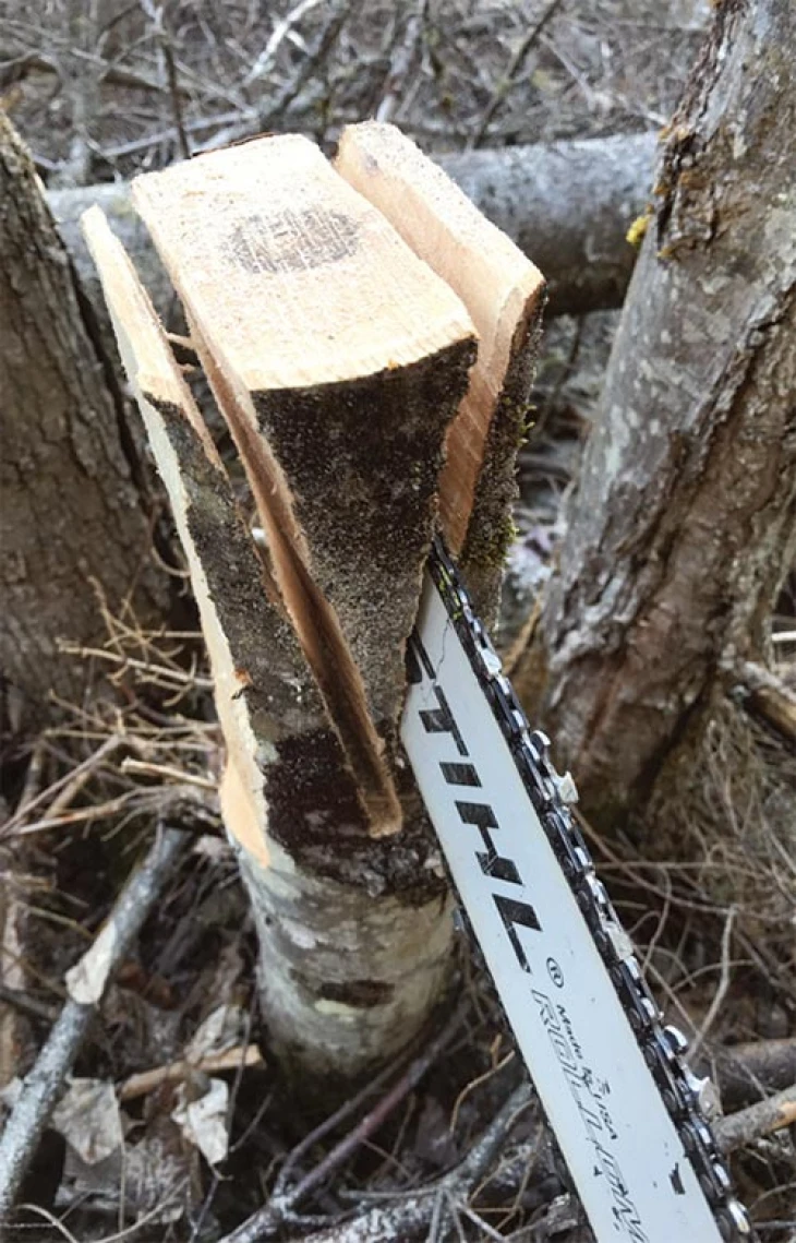 Tricks of the Trade: Wooden Felling Wedges | Summer 2017 | Articles ...