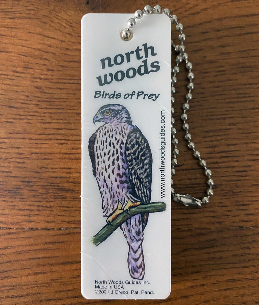 Birds of Prey Field Guide Mini Field Guides Shop Mini Field Guides