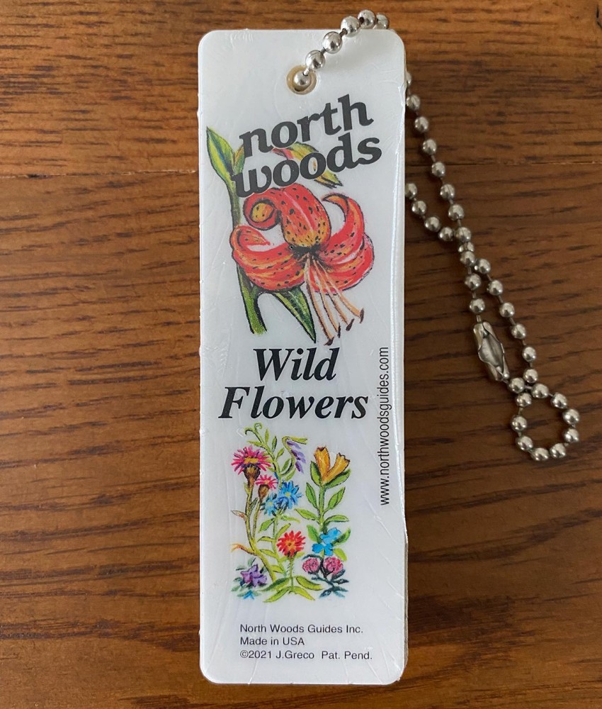 Wildflower Identification Field Guide Mini Field Guides Shop Mini Field ...
